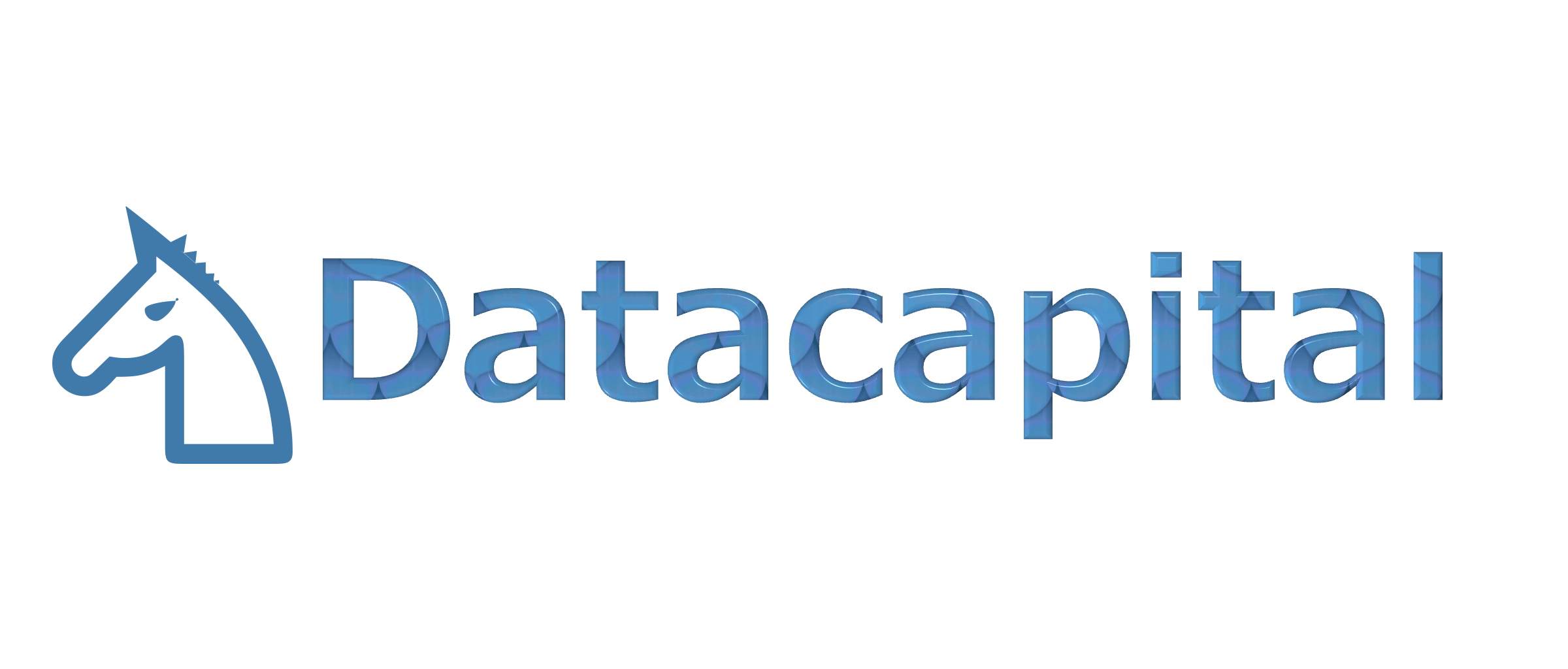 データキャピタル株式会社（datacapitalInc）｜最新技術を駆使し、WEB運営の新たなカタチを提供する